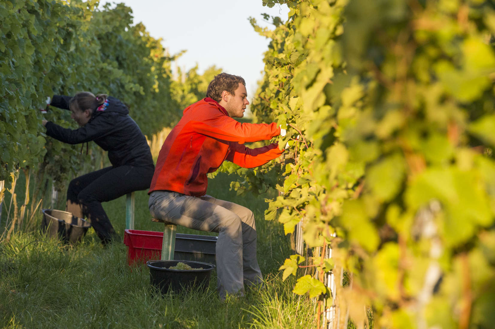 L’atout W.ALTER - Economie Sociale